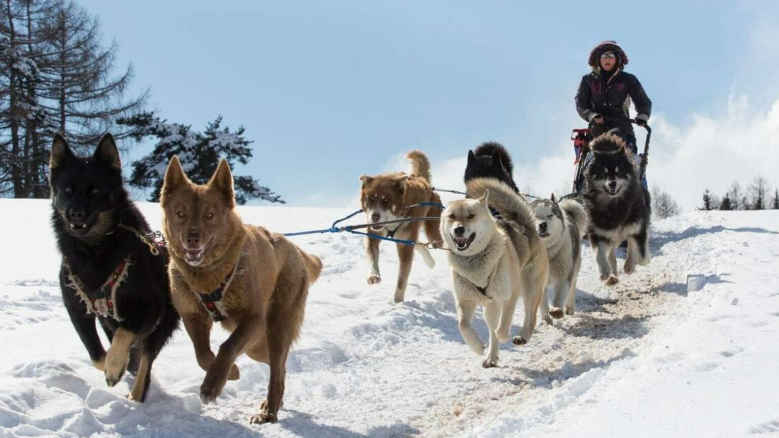 Le Dévoluy : station, domaine skiable, forfaits, activités… Le guide de ...